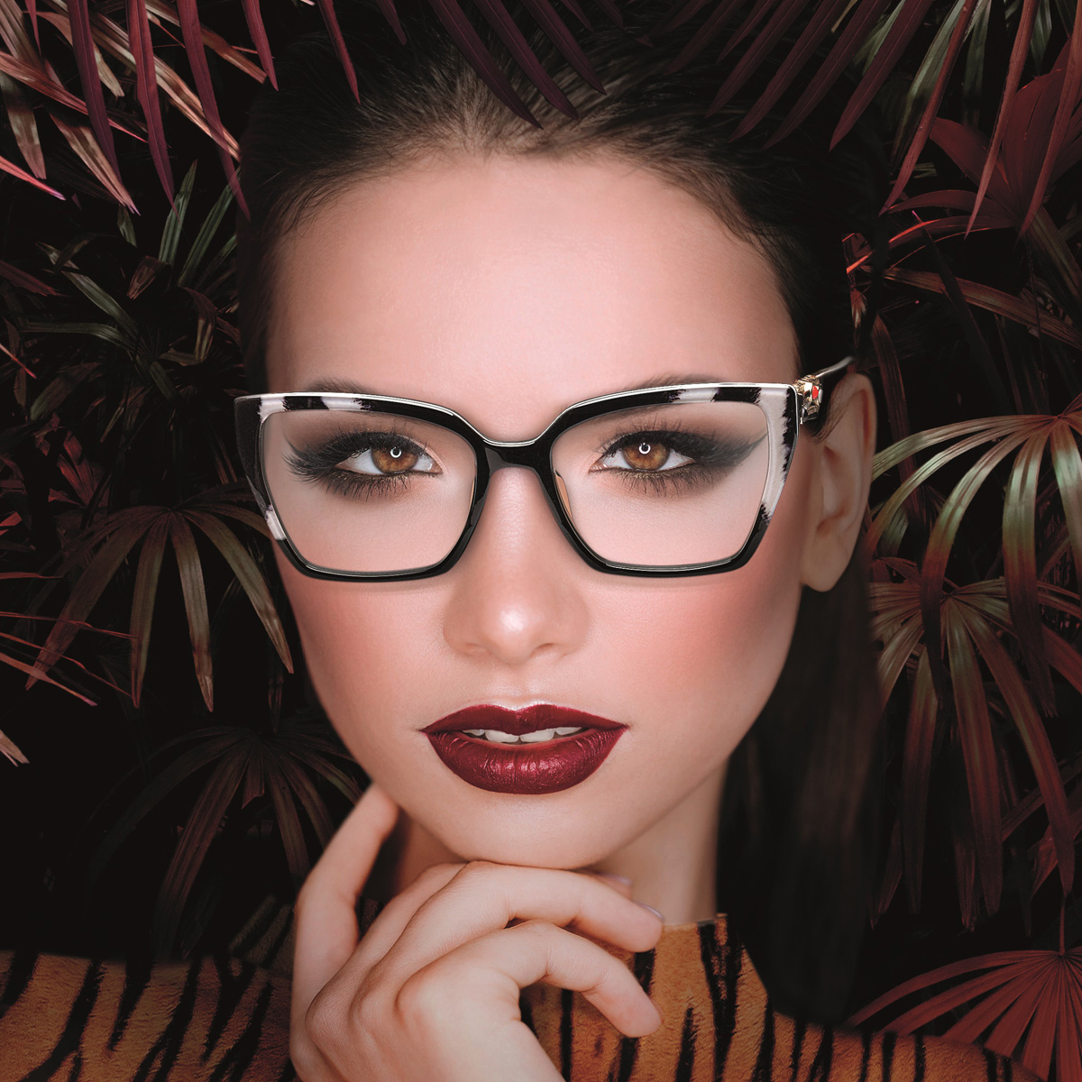 Apollo Optical – Eyewear wholesaler